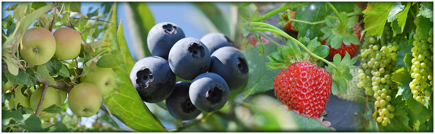 Coastal AgroBusiness | A Trusted Source for Generations